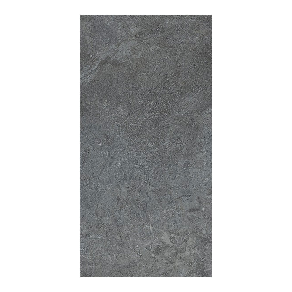 Stone Graphite Indoor/Outdoor Tile 300x600 $59.95m2 (Sold by 1.44m2 Bo ...